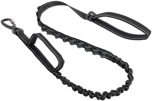 Amazon.com : Dog Leash Heavy Duty for Large Dogs That Pull, Double ...