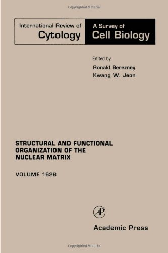 Buy Structural And Functional Organization Of The Nuclear Matrix 162 V 162 Pt B