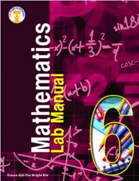 Math Lab Manual - 6 (Class - 8): Anima Jain, Archana, Anshumala ...