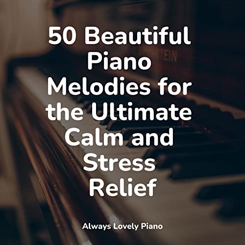 Amazon Music - Calm Music for Studying, Restaurant Background Music ...