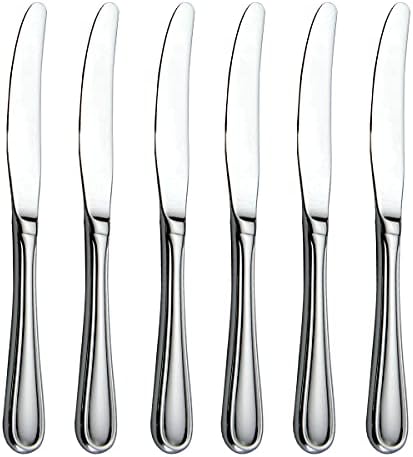 Amazon.com: Evanda Dinner Knives Set 12 Pieces, Stainless Steel Butter ...