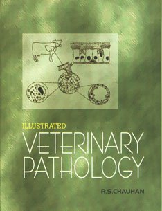 Illustrated Veterinary Pathology: R.S. Chauhan: 9788185860763: Amazon ...