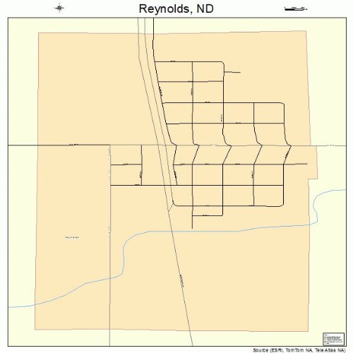 Large Street & Road Map of Reynolds, North Dakota ND - Printed poster ...