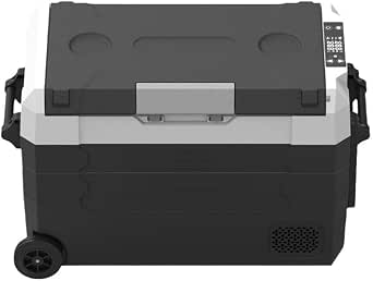 Amazon.com: ZYLHDD Car Refrigerators for Toyota Sienna 2021 2022 2023 ...