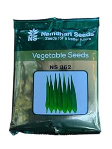 NS 862 Okra Vegetable Seeds, Hybrid Variety (250 GM) : Amazon.in: Garden & Outdoors