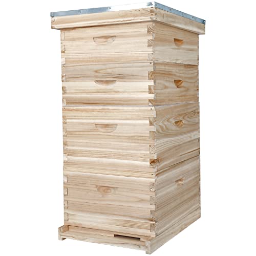 Best Bee Hives for Beginners With Complete Starter Kits and Durable ...