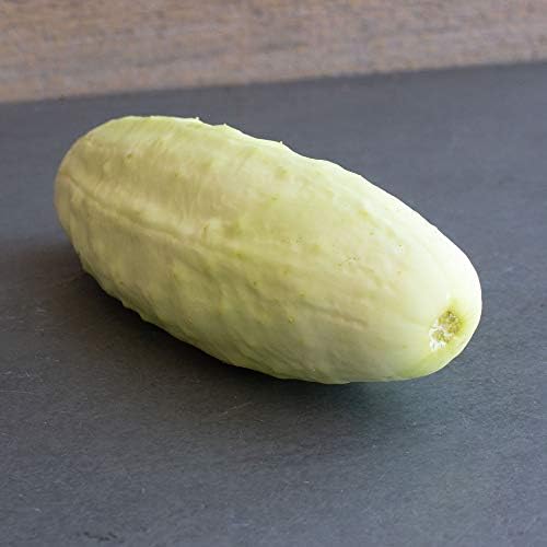 Amazon.com : White Cucumber Seeds Vegetable White Cucumber for Planting ...