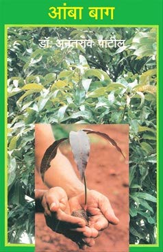 Buy Amba Bag Book Online at Low Prices in India | Amba Bag Reviews ...