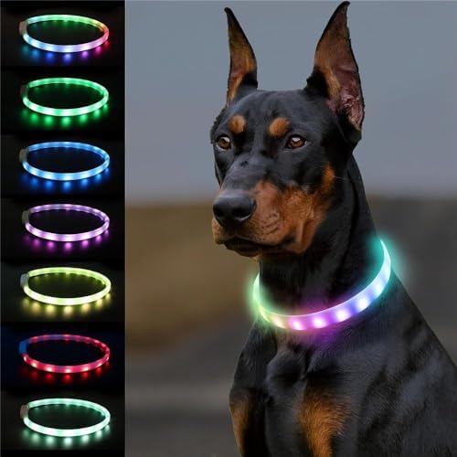 Lighted Dog Collar Rechargeable 9 Colors Changing Light Up Dog Collar ...