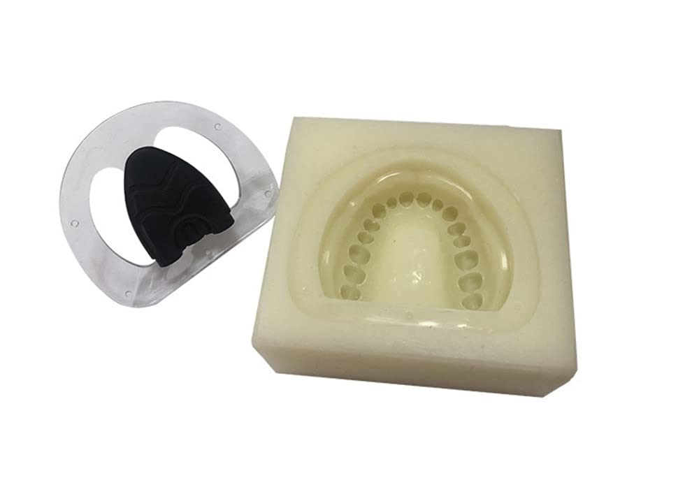 Buy Dental Model Dental Plaster Model Mold of Edentulous Jaw Base ...