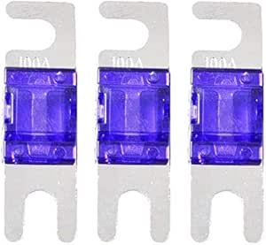 Amazon.com: Mini ANL 100 Amp Fuse For Automotive Marine Audio Video ...