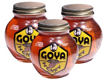 Amazon.com : Goya - Honey with Comb 8oz 3-pack : Grocery & Gourmet Food