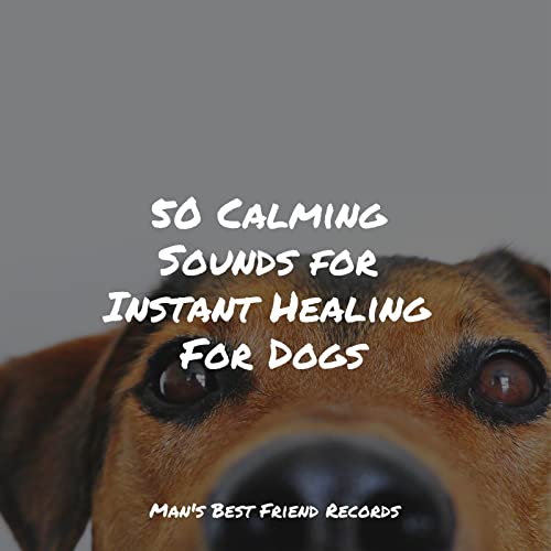 50 Calming Sounds for Instant Healing For Dogs de Dog Music Club ...