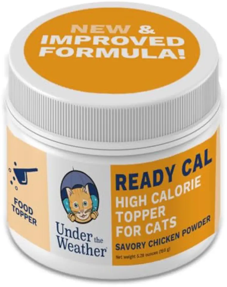 Ideal Weight For Cats: Age-Related Averages | PetShun