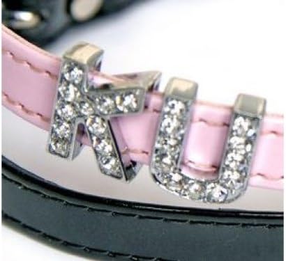 Amazon.com : Pimp My Name Letters V : Pet Supplies