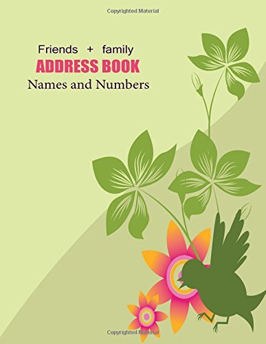 Buy Friends + Family Address Book Names And Numbers: Big Print Extra ...