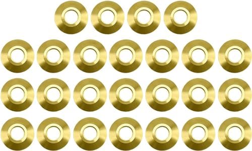 Amazon.com : Loop Loc Brass Anchor For Loop Loc Pool Cover : Swimming ...