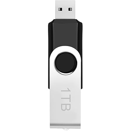 Amazon.com: Amazon Basics 256GB Ultra Fast USB 3.1 Flash Drive