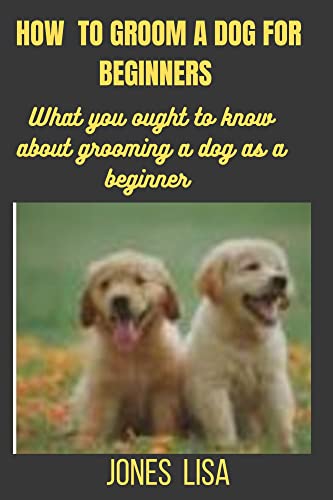 HOW TO GROOM A DOG FOR BEGINNERS: WHAT YOU OUGHT TO KNOW ABOUT GROOMING ...