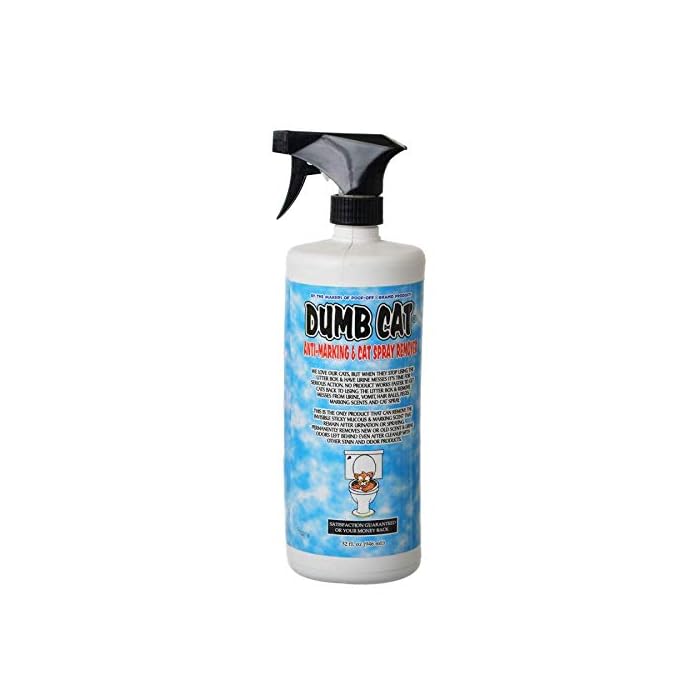 Buy Dumb Cat Pet Odor Eliminator, Cat Pee Deterrent Spray, Cat Urine ...