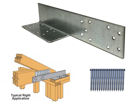 Simpson Strong Tie DSC2L-SDS3 Drag Strut Left with 20 SDS 1/4" by 3 ...
