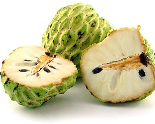 Creative Farmer Hybrid Custard Apple Fruit Live Plant Garden Plant(1 ...