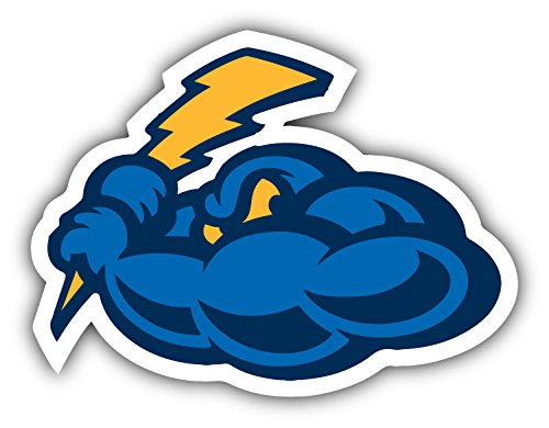 Thunder Baseball Logo