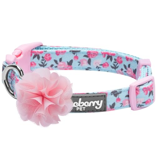 Female Dog Collars – The 15 best products compared - Wild Explained