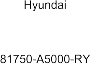 Amazon.com: Genuine Hyundai 81750-A5000-RY Tailgate Trim Panel Assembly ...