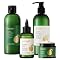 Amazon.com: Cocoon Pomelo Shampoo & Conditioner Bundle - Anti Hair Loss ...