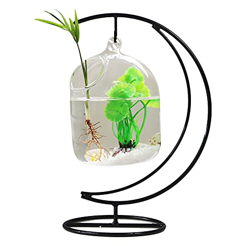 TITA-DONG Hanging Fish Tank, Small Table Glass Fish Bowl, Mini Aquarium ...