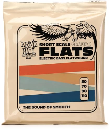 Ernie Ball Short Scale Flatwound Bass Strings Review: The Secret to ...