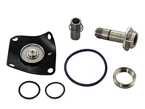 Amazon.com: CHAMPION Industries 113392 KIT REPR 1/2I Valve HW GC ...