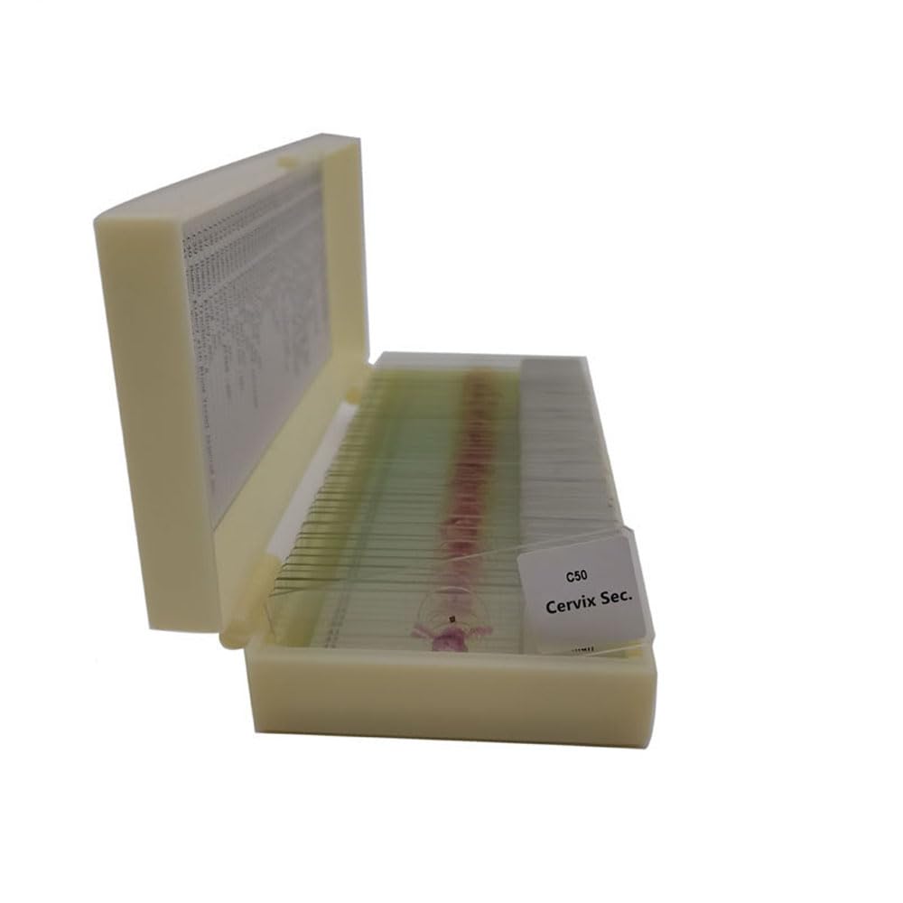 50pcsSet Mixed Histology Slides Set Histology Philippines | Ubuy