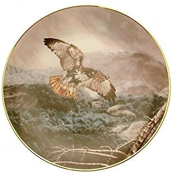 Bradford Exchange Placa colectora Soaring Majesty The Red Tailed Hawk ...
