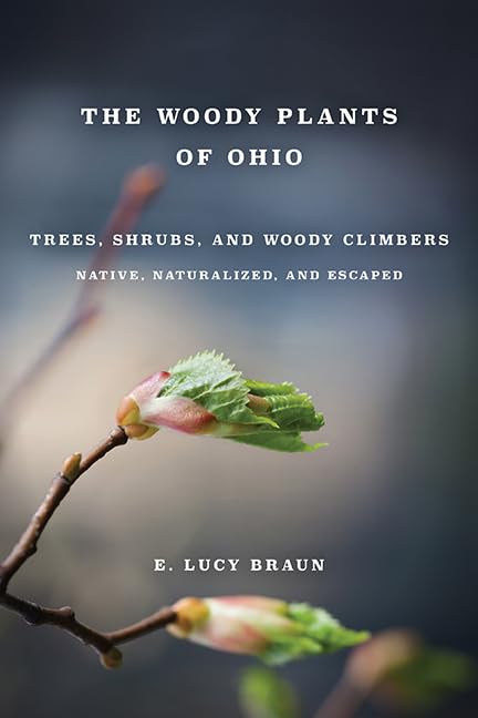 WOODY PLANTS OF OHIO: Trees, Shrubs, and Woody Climbers: Native ...