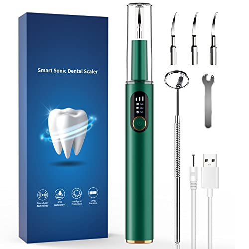 Top 10 Best Tooth Cleaner 2022: Reviews & Buying Guide