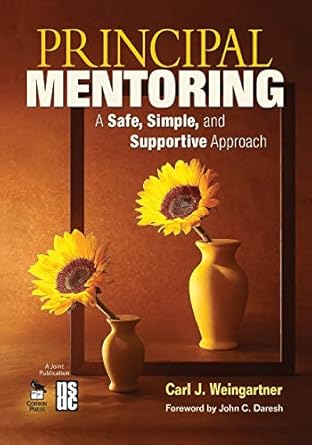 Principal Mentoring: A Safe, Simple, and Supportive Approach ...
