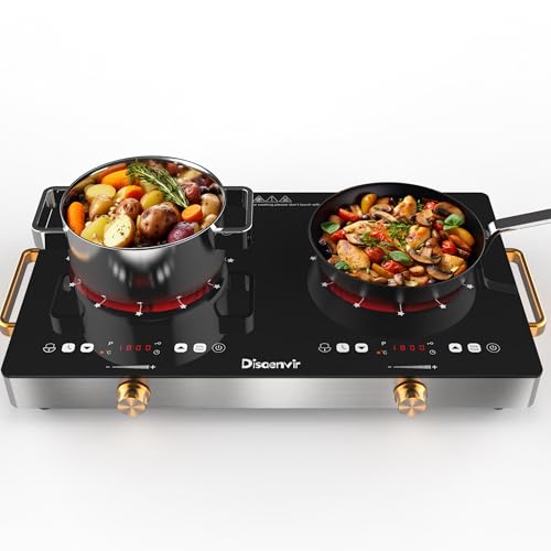 Disaenvir 2 Burner Electric Cooktop 110V - 24 Inch Countertop Electric ...
