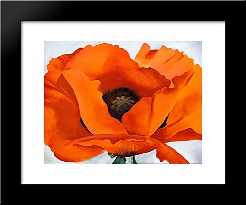 Amazon.com: Red Poppy 20x24 Framed Art Print by O'Keeffe, Georgia ...