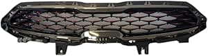Amazon.com: OEM Genuine Kia Radiator Grille Sub-Assembly 86350 M6200 ...
