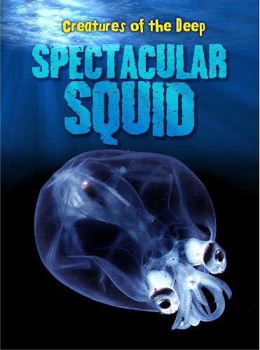 Spectacular Squid: Casey Rand: 9781406226362: Amazon.com: Books
