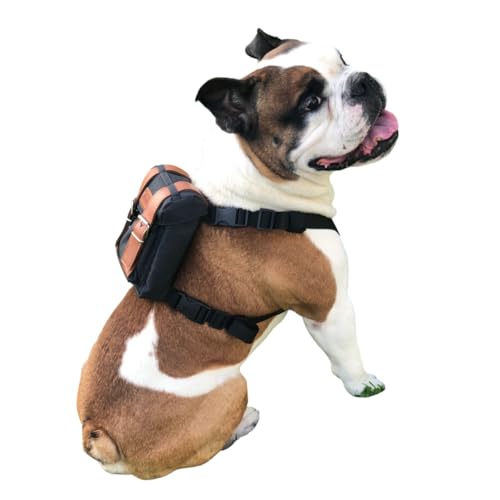 Backpack for Dogs To Wear – The 15 best products compared - Wild Explained