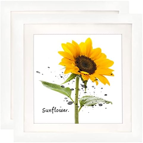 Amazon.com - AVEAX 6x6 wood Square Picture Frames Set of 2 Classic ...