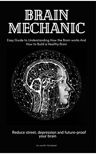 BRAIN MECHANIC: Easy Guide to Understanding How the Brain Works and How to Build A Healthy Brain ...