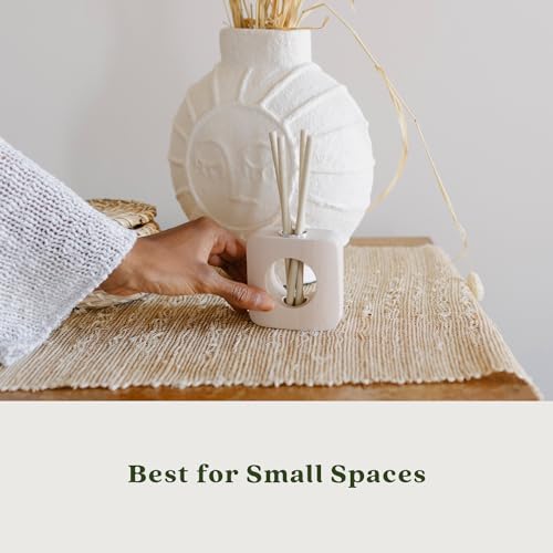 Snapklik.com : Enviroscent Non-Toxic Air Freshener For Home