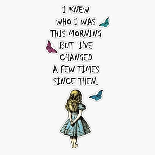Amazon.com - Alice in Wonderland Quote Sticker Bumper Sticker Vinyl ...
