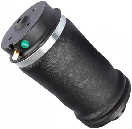 Amazon.com: MERCEDES-BENZ 1663200325 GENUINE OEM SPRING : Automotive