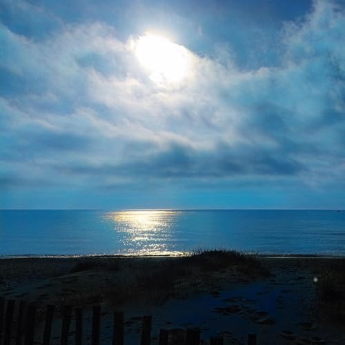 Play Shiny Dreams by Arno Bast on Amazon Music