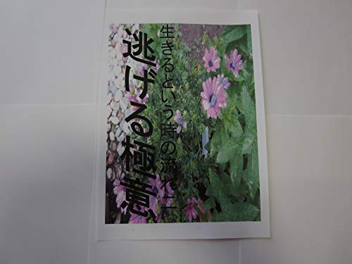 ikiru toiu tokino nagare: NIGERU GOKUI nigeru toiu tokino nagare ...